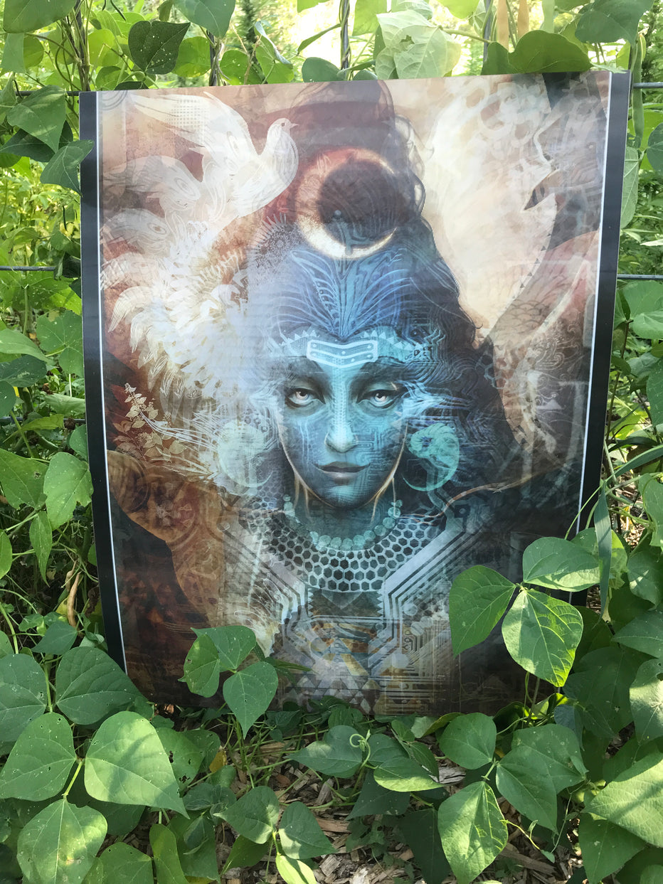 Official Online Store of Android Jones