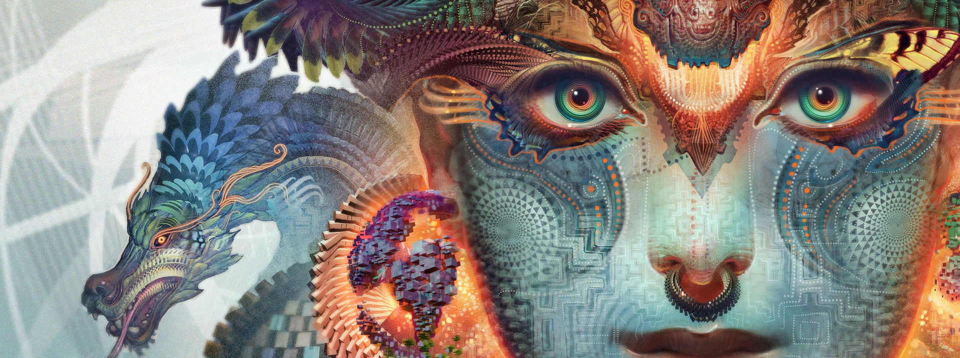 Official Online Store of Android Jones